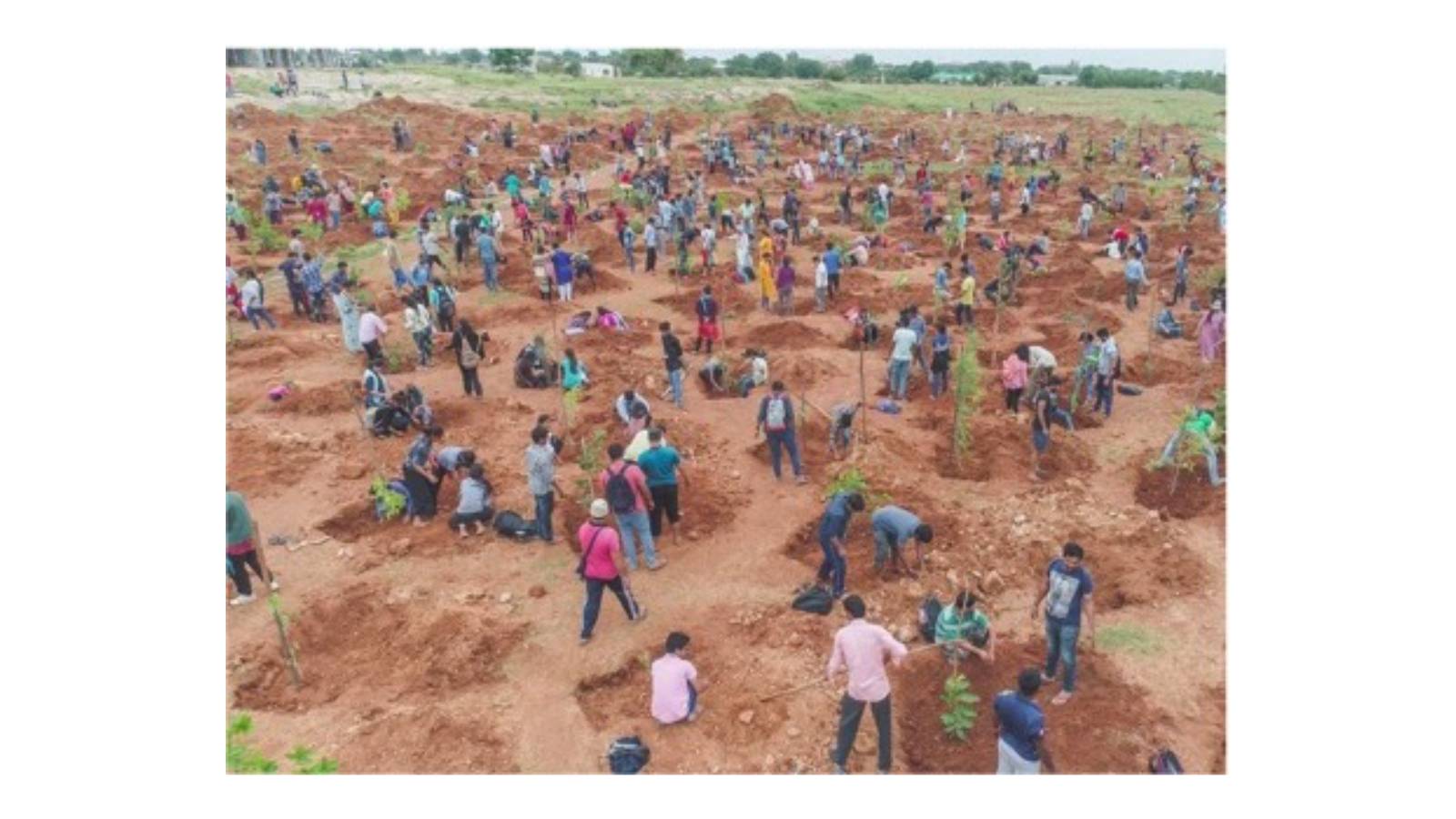 ForestsByHeartfulness - Creating MiniForests of Indigenous and Native ...