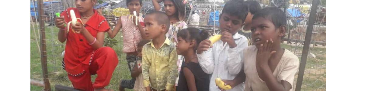 Donate for Healthcare and Support AATMNIRBHAR NGO | Awareness campaign ...