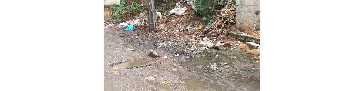 Donate for Environment and Support Saarathi Child Education & Social Welfare Foundation | No ...