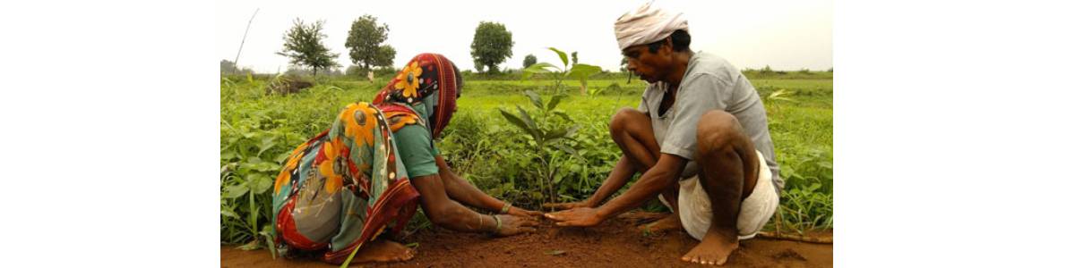 Donate for Livelihood and Support DR M CHANDRASEKHAR INTERNATIONAL ...