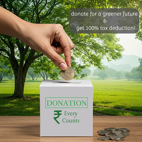 Donate for Environment and Support The Social Purpose Trust | Solar for ...