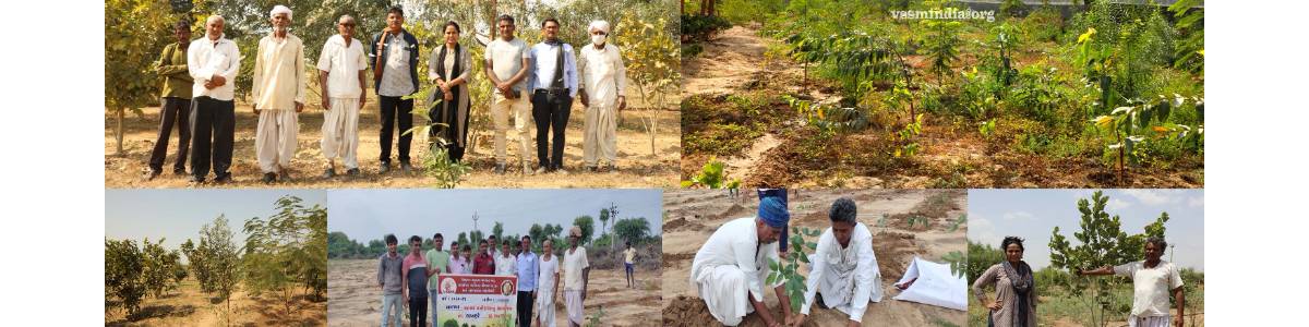 A Small Step towards Green Earth - TREE PLANTATION CAMPAIGN - Give ...