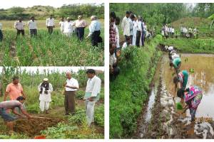 Improving Farm Based Livelihoods of 1500 farmers through promotion of ...