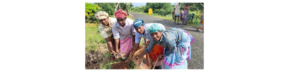 EMPOWERING SMALL & MARGINAL FARMERS IN THENI ON MINOR MILLET PRODUCES ...