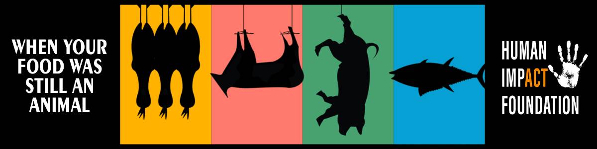 Save Animals to Save the Environment - Give Fundraisers